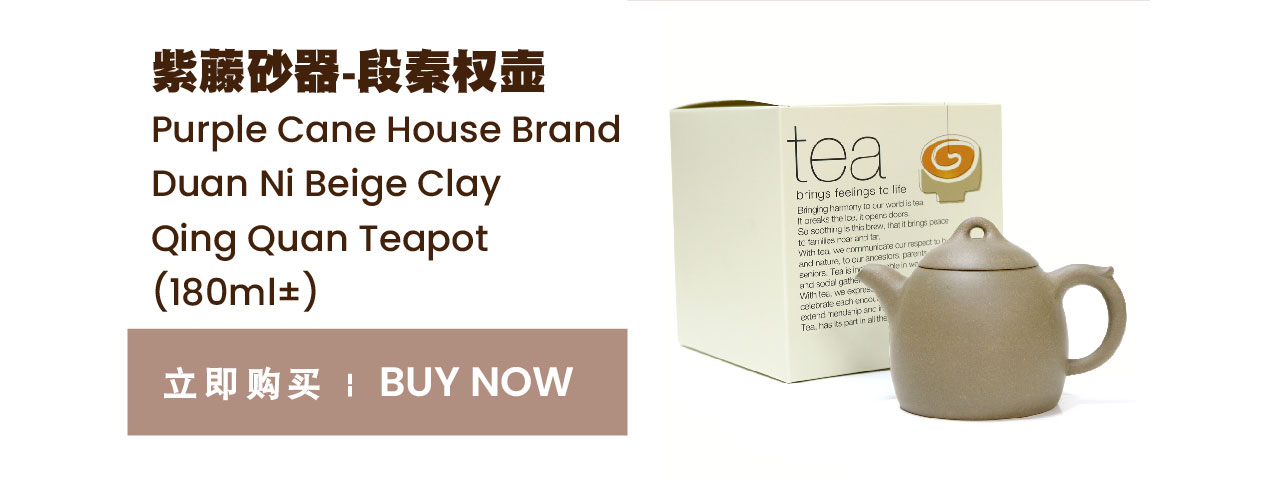 🌿紫藤强烈推荐！【云聘号冰岛2023】 | Purple Cane