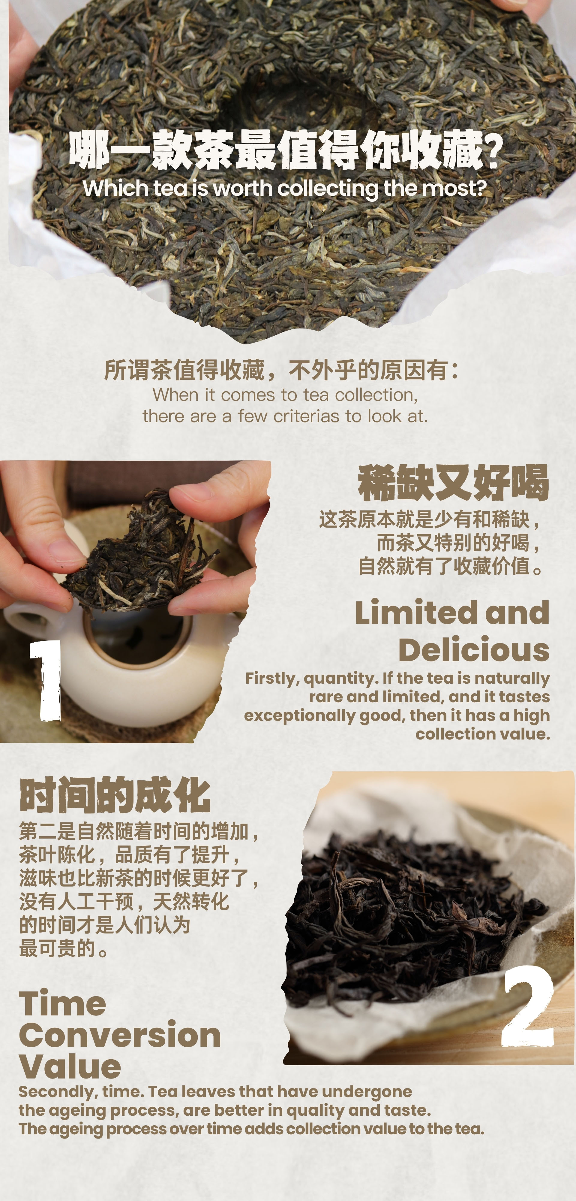 紫藤严选：哪一款茶最值得你收藏？ | Purple Cane