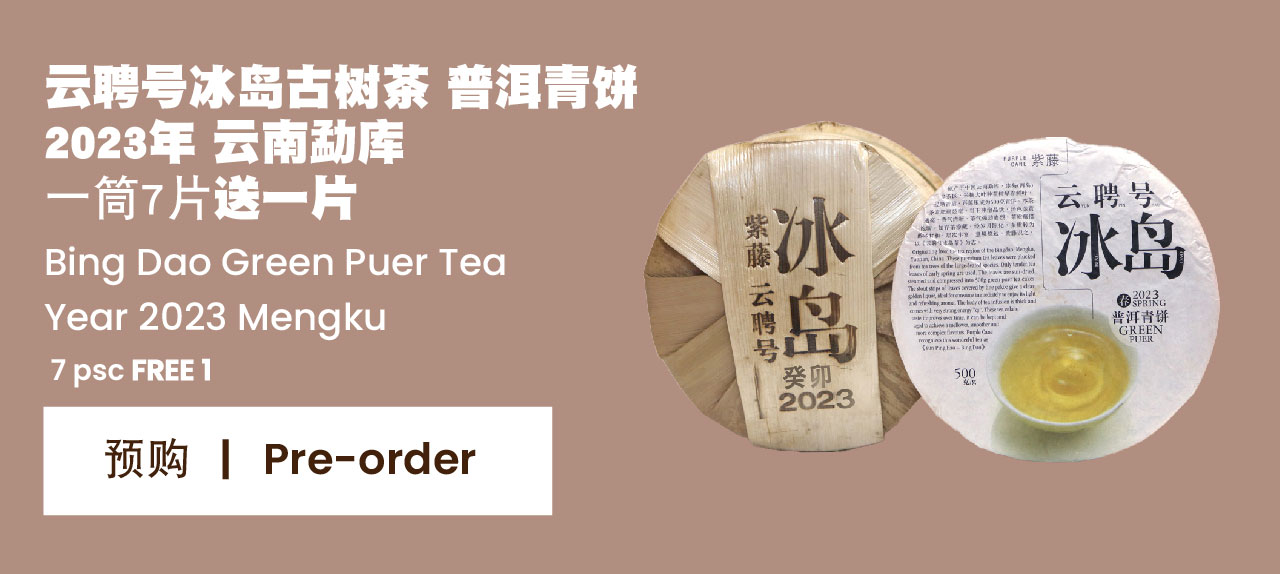 🌿紫藤强烈推荐！【云聘号冰岛2023】 | Purple Cane