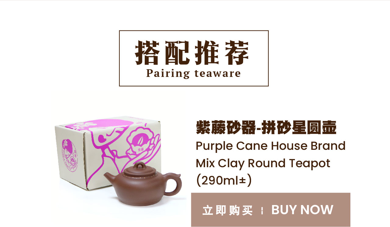 🌿紫藤强烈推荐！【云聘号冰岛2023】 | Purple Cane