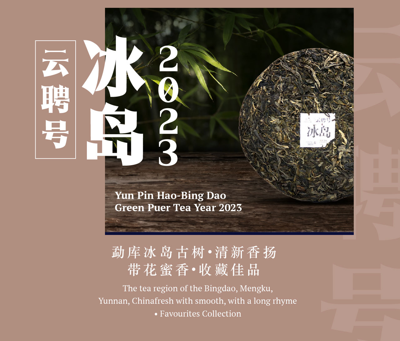 🌿紫藤强烈推荐！【云聘号冰岛2023】 | Purple Cane