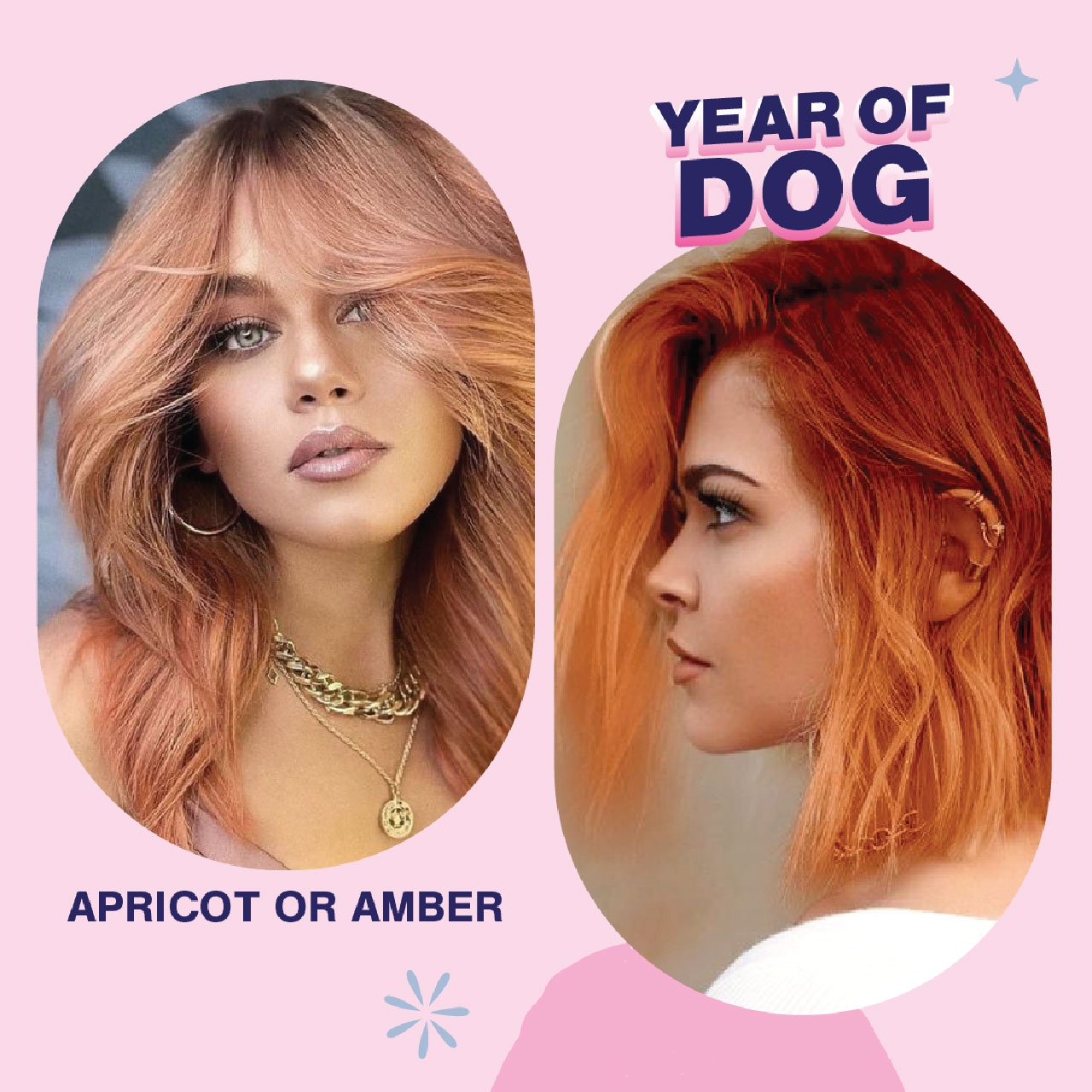 2022 HUAT Hair Colours according to your Chinese | HAIRDEPOT