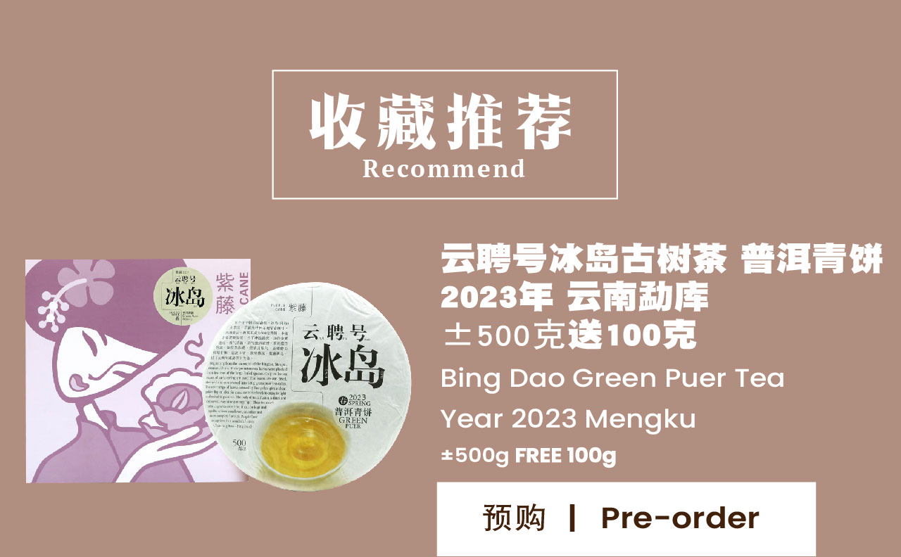 🌿紫藤强烈推荐！【云聘号冰岛2023】 | Purple Cane