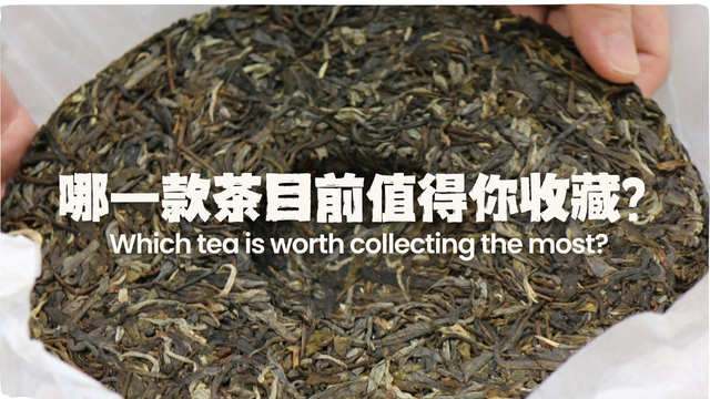 紫藤严选：哪一款茶最值得你收藏？ | Purple Cane