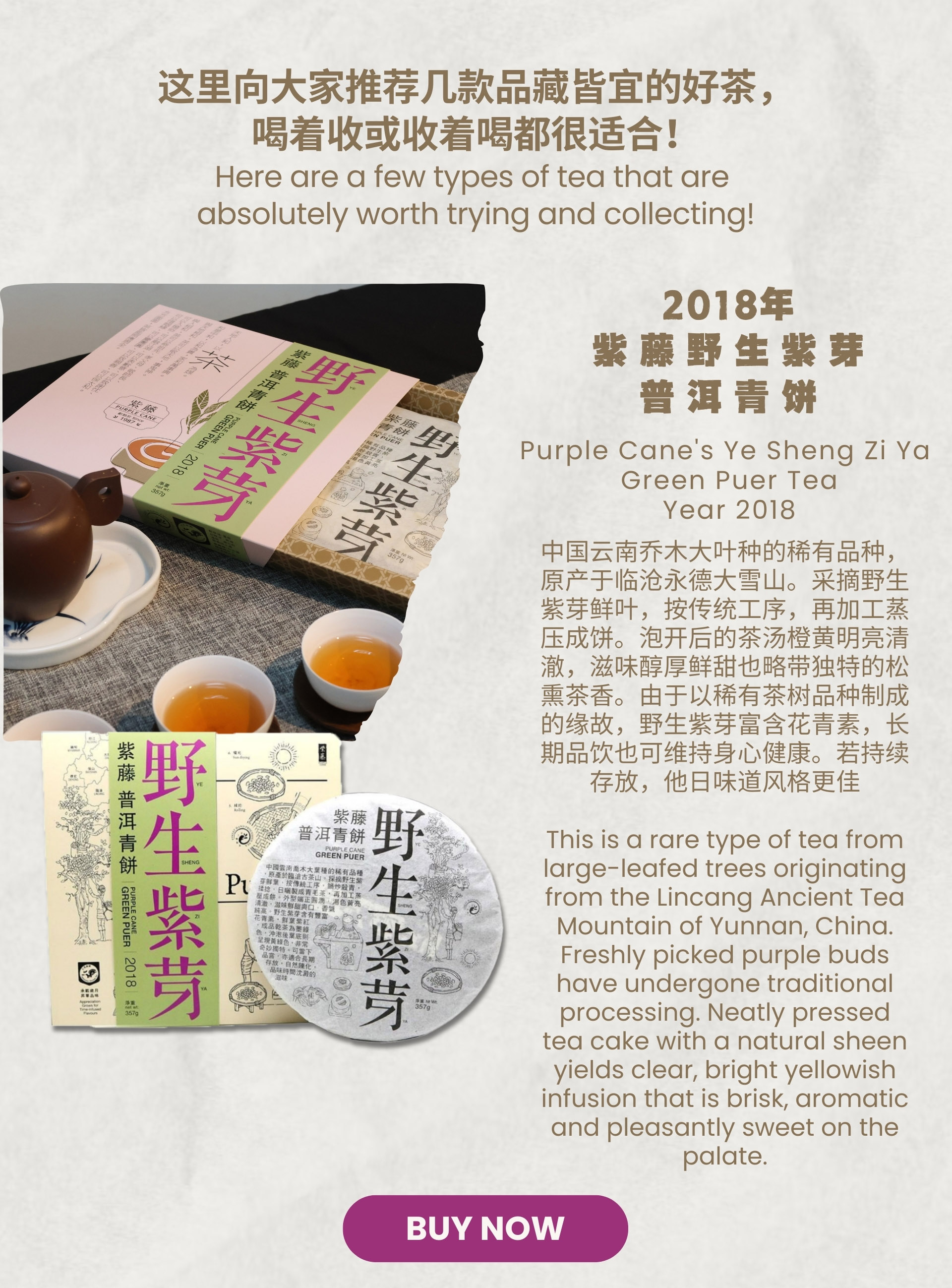 紫藤严选：哪一款茶最值得你收藏？ | Purple Cane